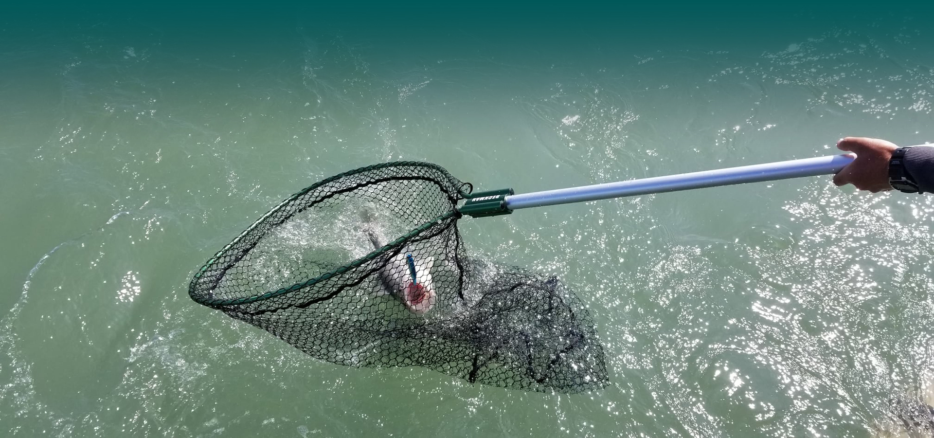 Mark 1 Sportfishing | Lake Erie Fishing Charters | Port Clinton, Ohio